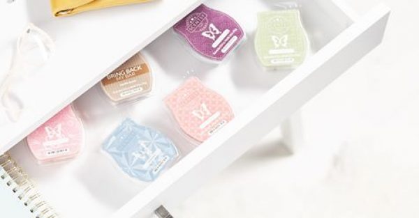 How to Store Scentsy Bars - Scentsy Storage Suggestions