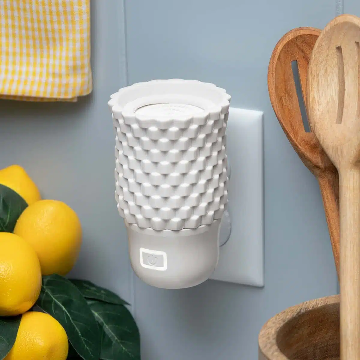 Scentsy Wall Fans, Mini Fans & Scentsy Go Products