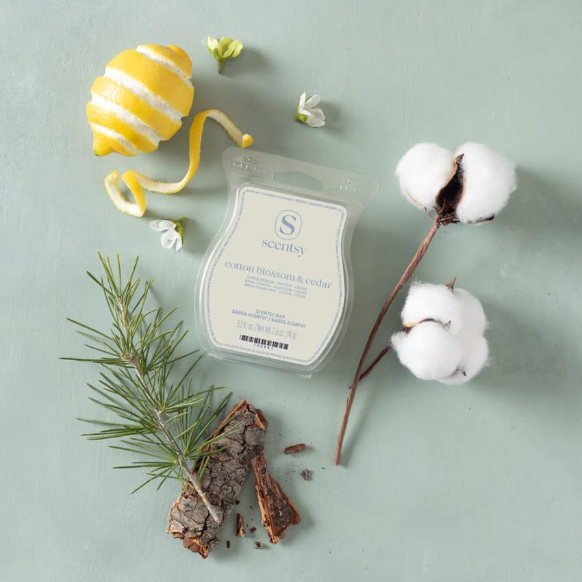 Cotton Blossom & Cedar Scentsy Bar – Classic Collection