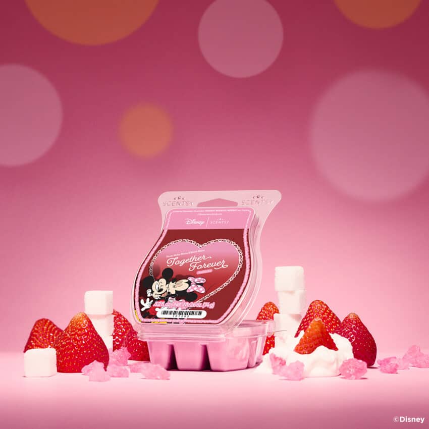 Mickey & Minnie Scentsy Bar | Together Forever
